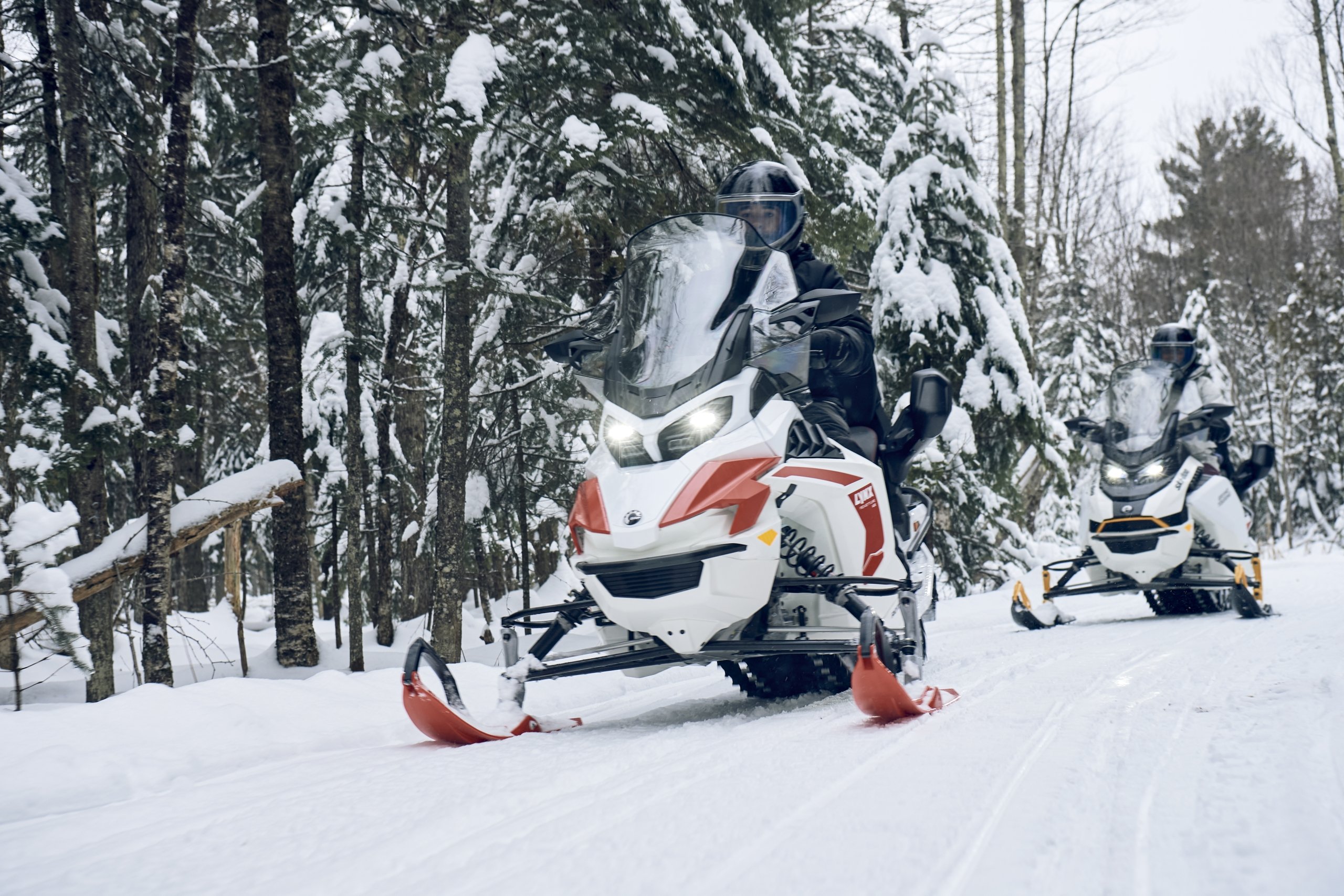 Curling in Montebello Quebec | Fairmont Le Château Montebello